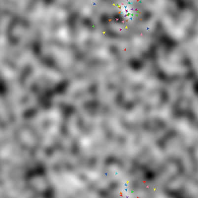 Thomas Jungblut S Blog Particle Swarm Optimization